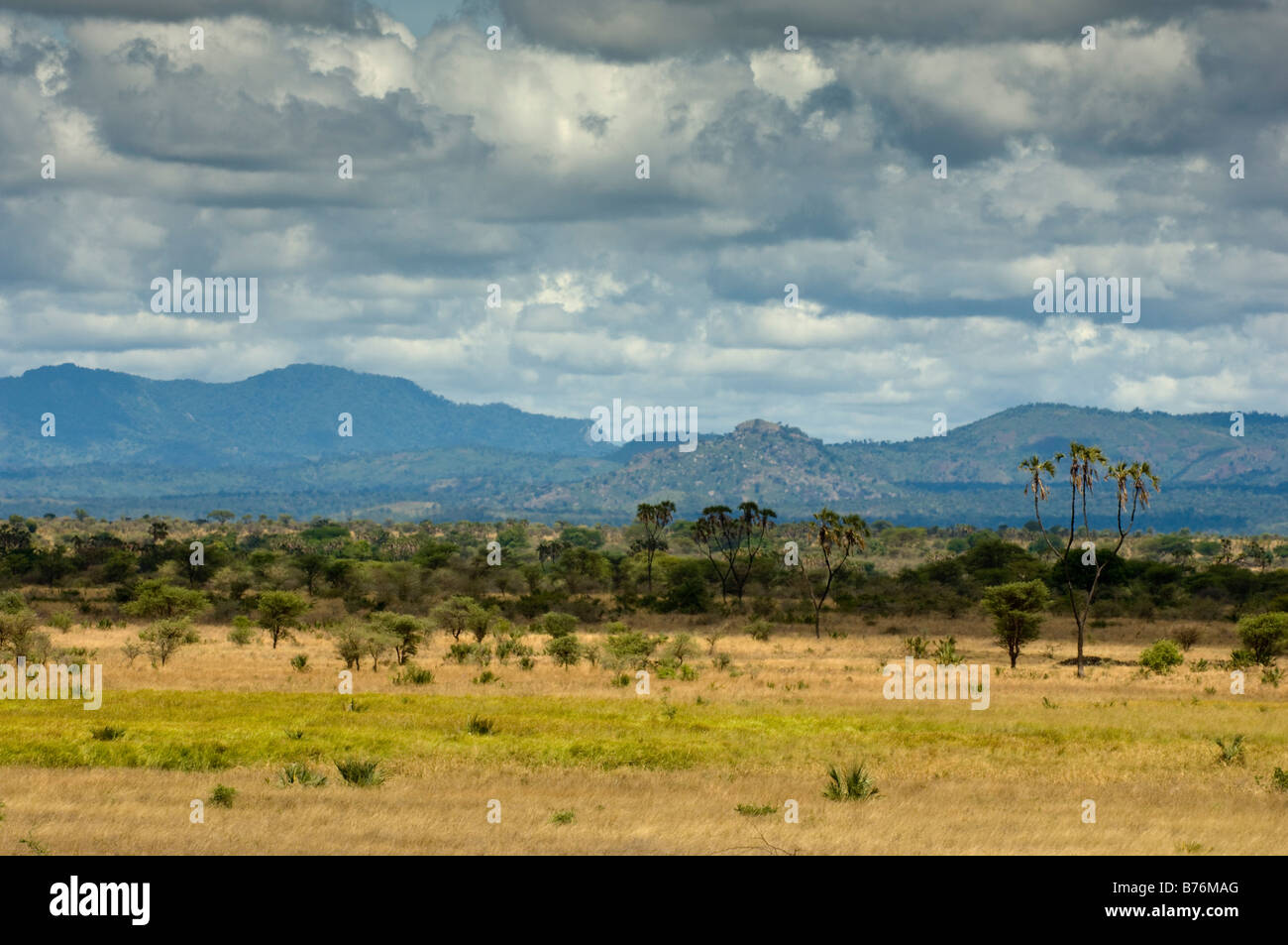 Meru Kenya High Resolution Stock Photography and Images - Alamy