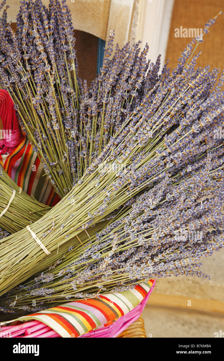 Lavender display hi-res stock photography and images - Alamy