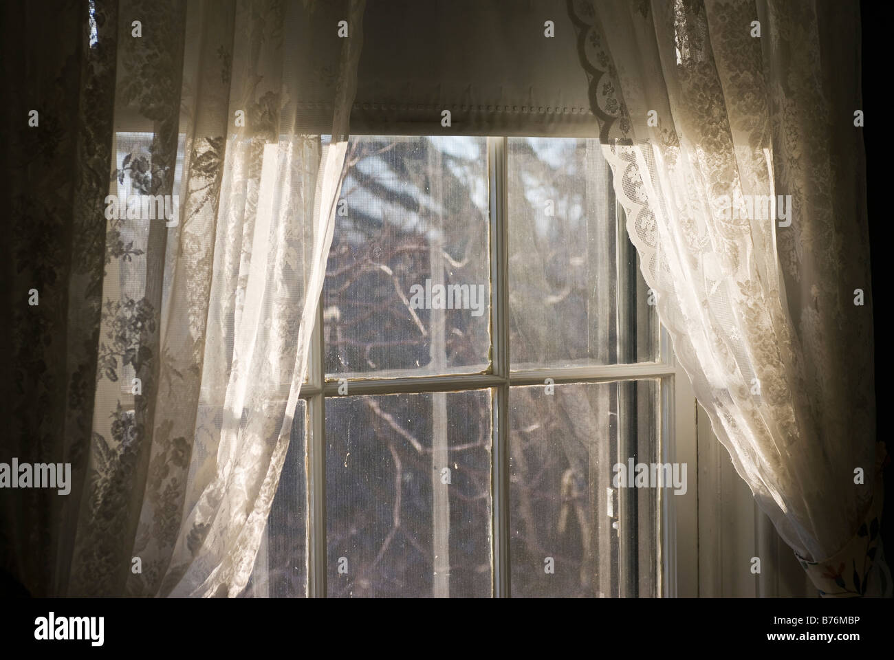 Afternoon light window pane Stock Photo - Alamy