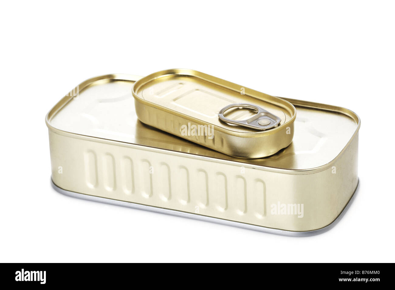 Two food tin can isolated on white background Shallow depth of field ...