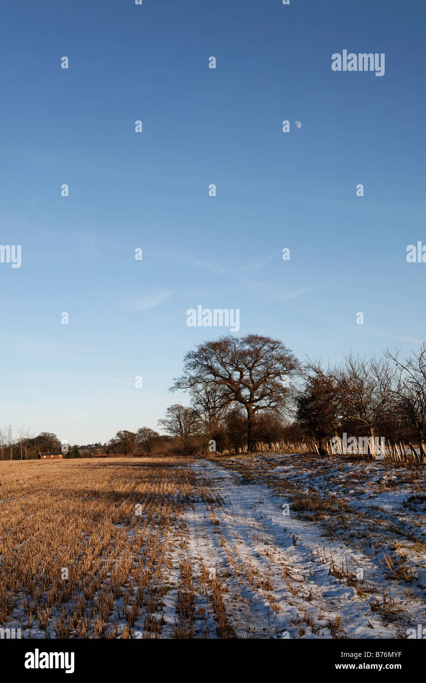 Suffolk landscape tree hi-res stock photography and images - Alamy