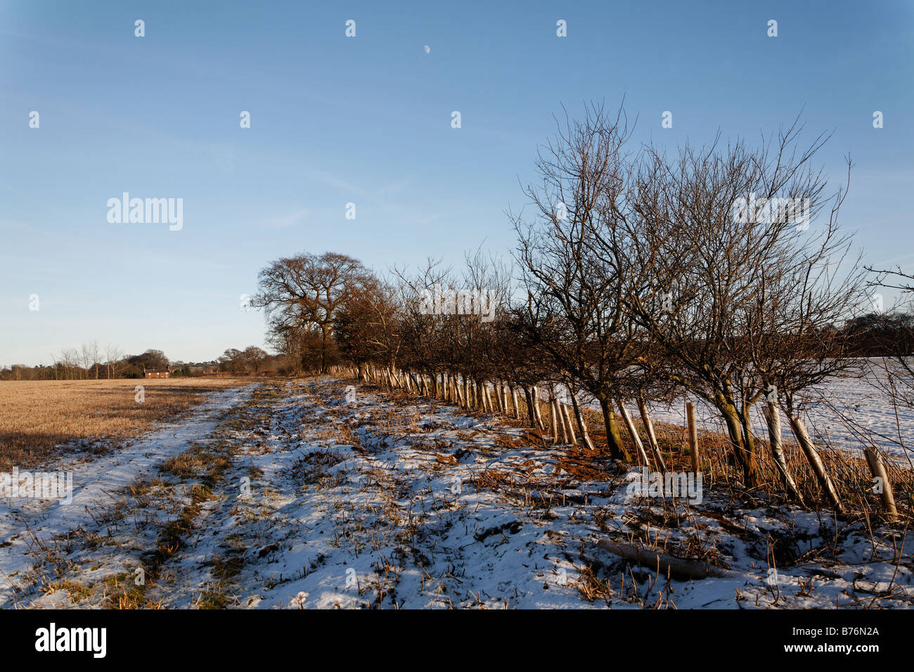 Winter landscape with hedgerow The Big Freeze January 2009 Sutton ...