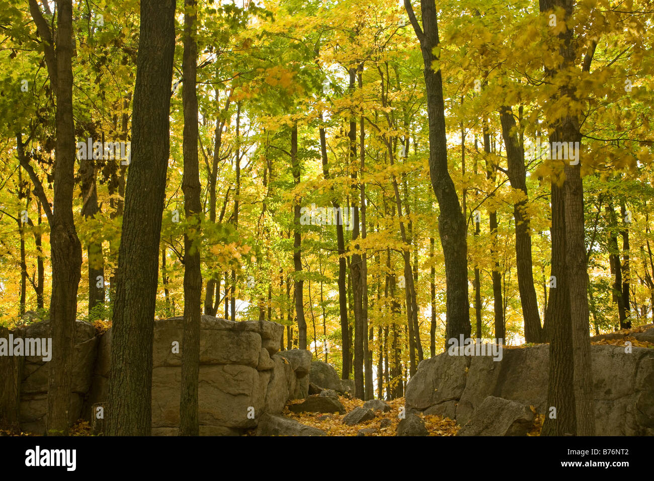Quartzite rib hi-res stock photography and images - Alamy