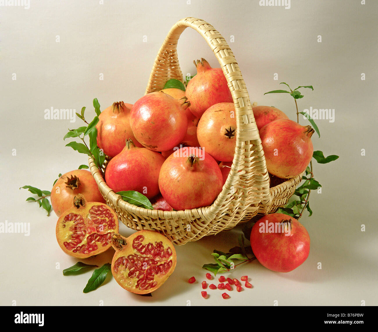 Harvesting seeds in orchard hi-res stock photography and images - Alamy