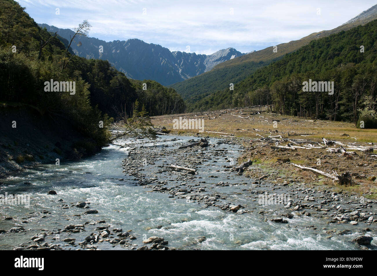 The Rees Valley, Rees Dart track, Mount Aspiring National Park, South ...