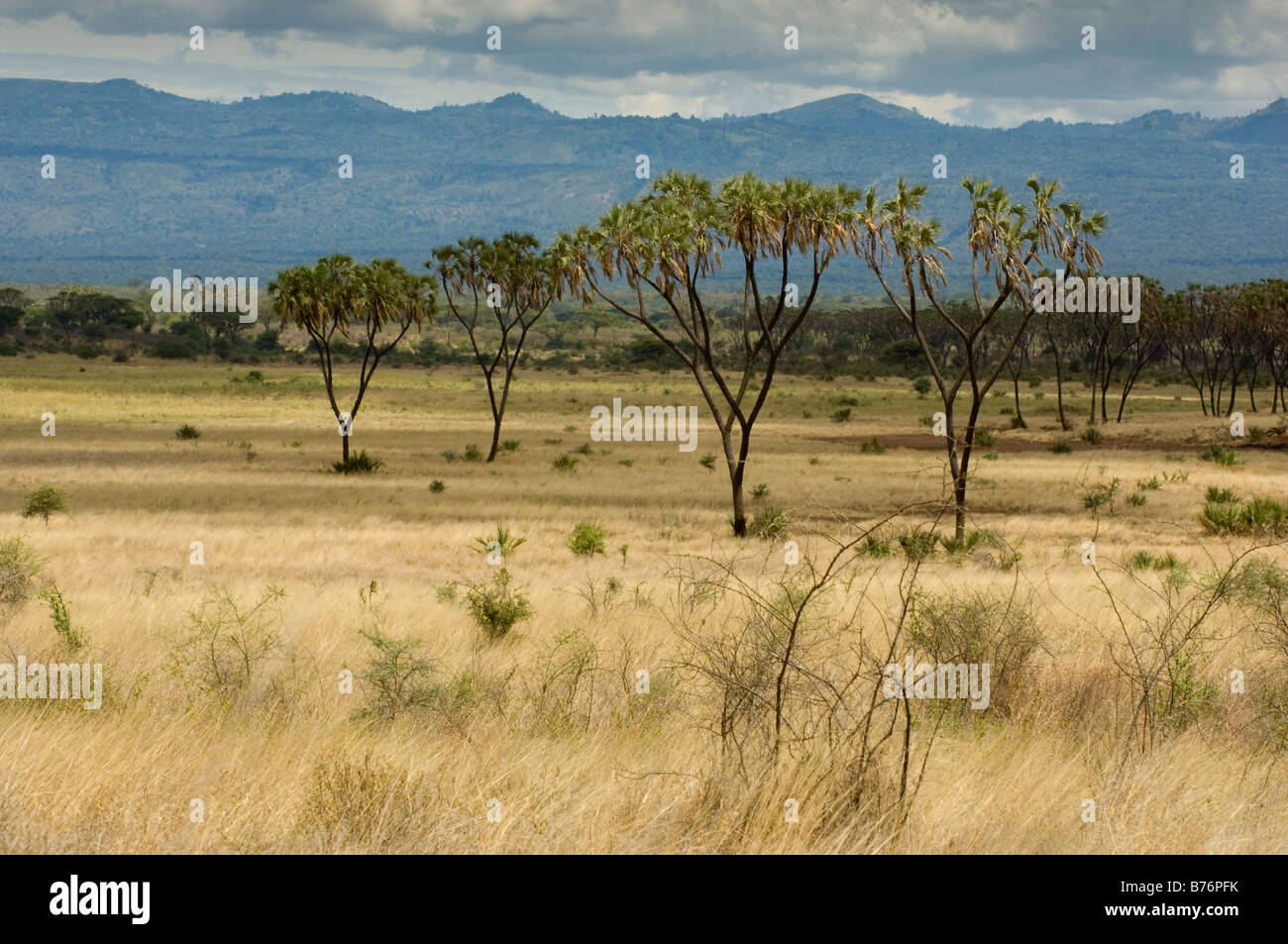 Meru National Park Kenya Stock Photo - Alamy
