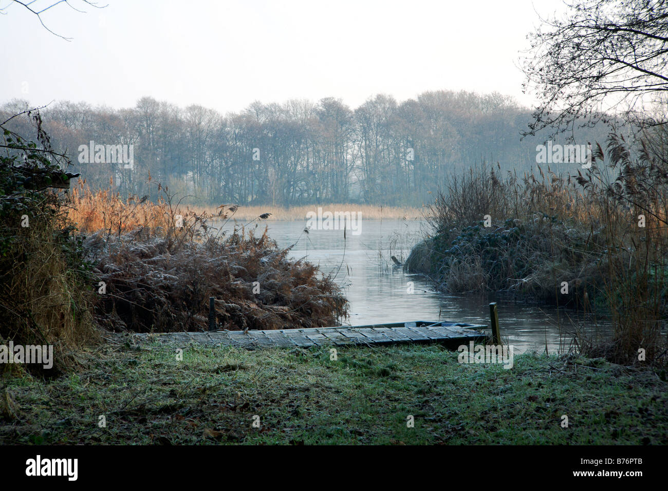 Alderfen Broad Nature Reserve, Norfolk, UK, with small staithe, in ...