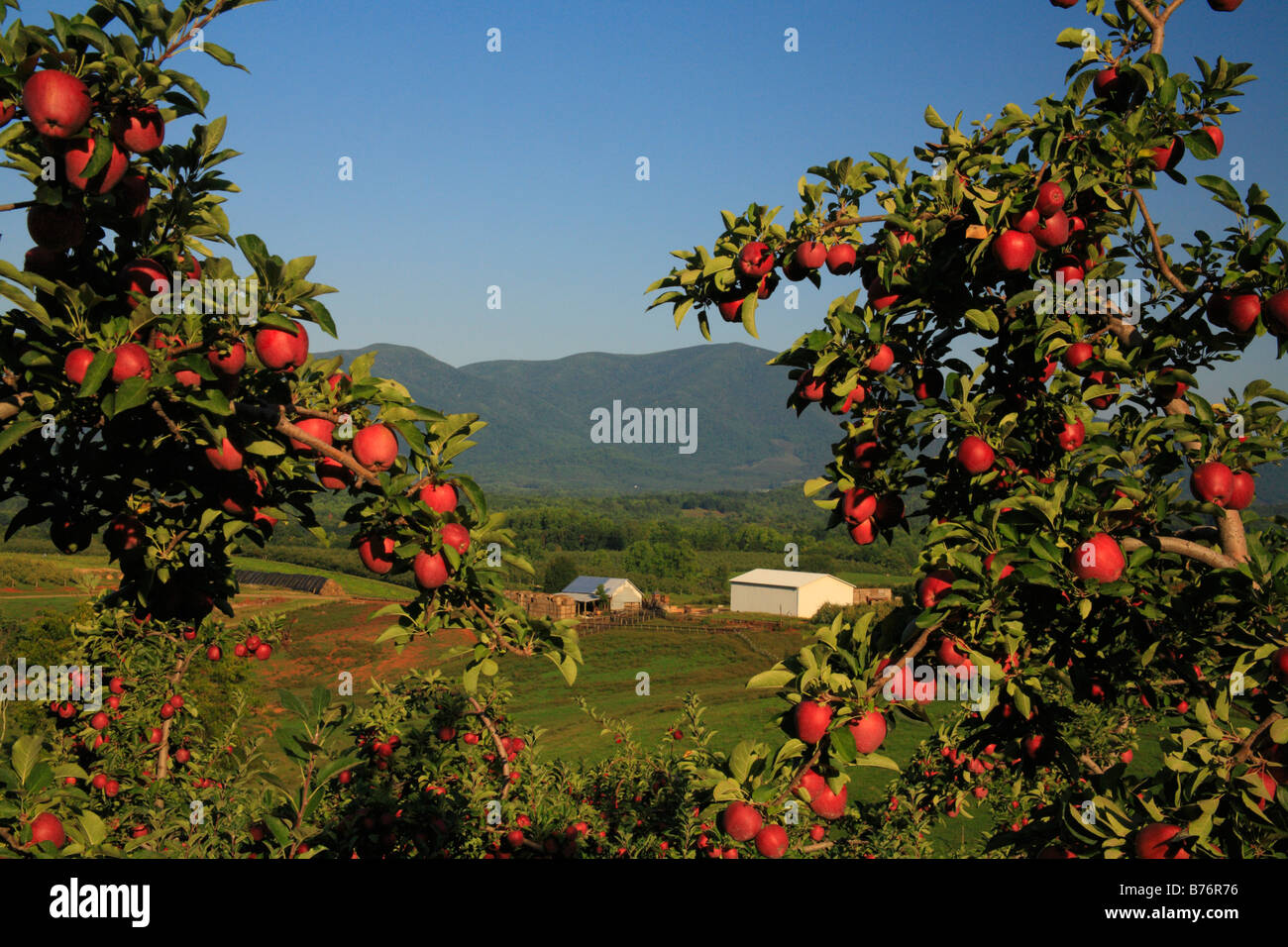 Orchard barn hi-res stock photography and images - Alamy