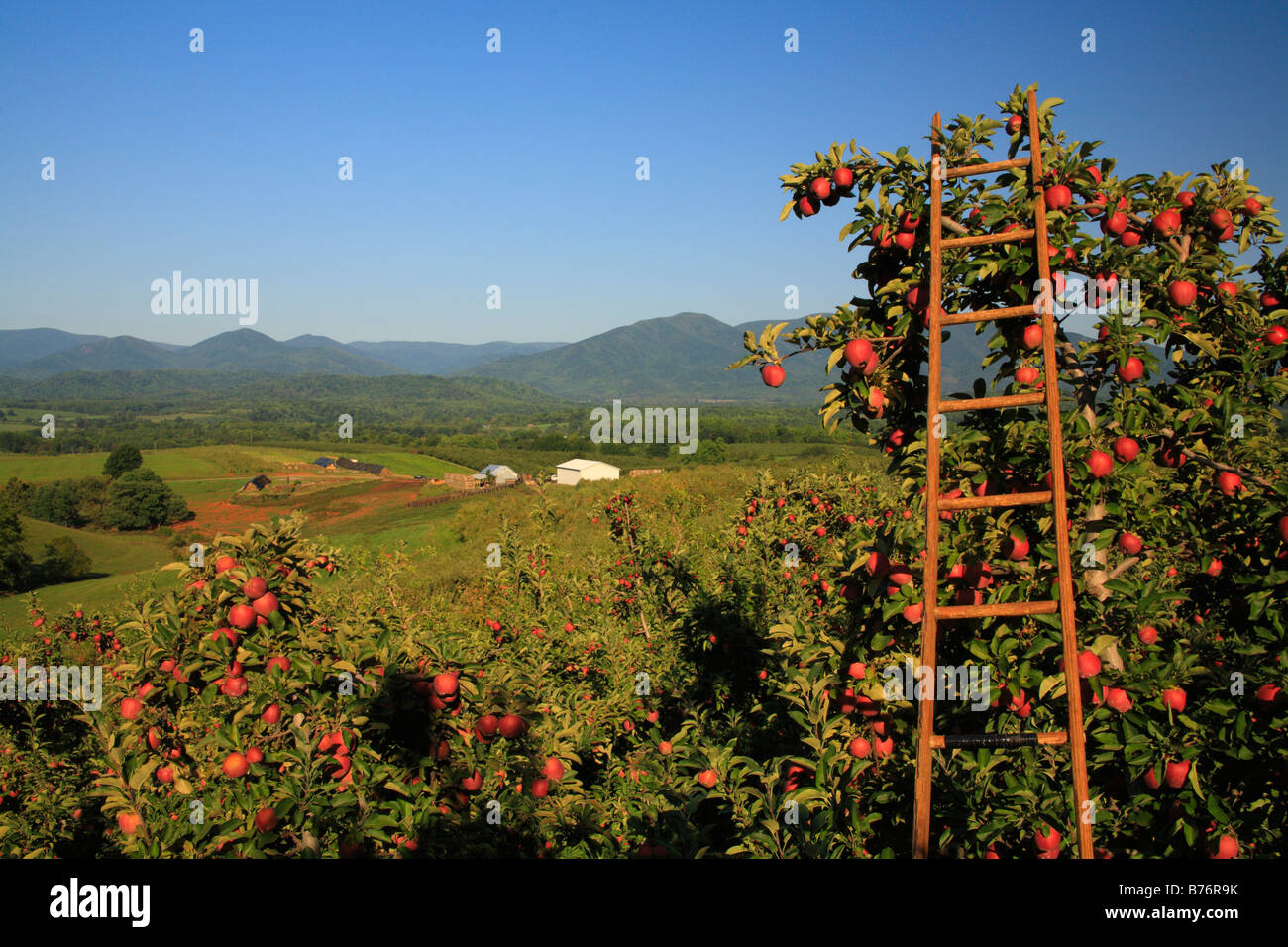 Roseland virginia hi-res stock photography and images - Alamy