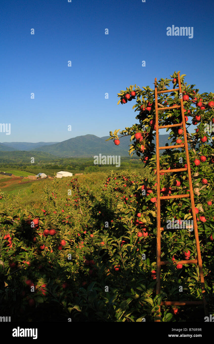 Roseland virginia hi-res stock photography and images - Alamy