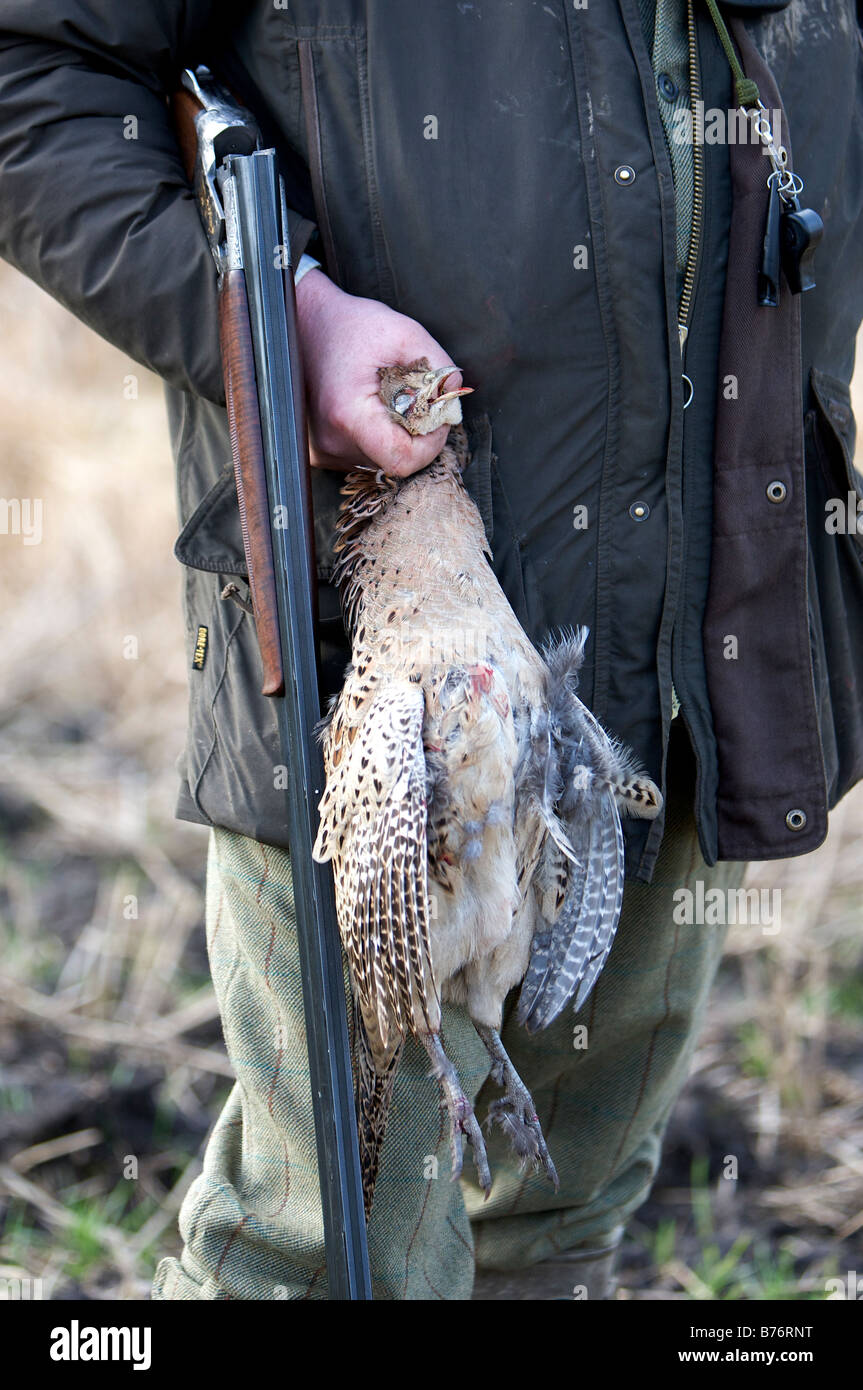 Dead partridge hi-res stock photography and images - Alamy