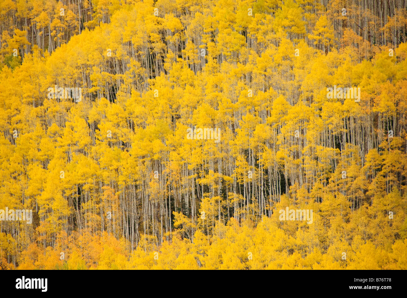 Hillside colorado hi-res stock photography and images - Alamy