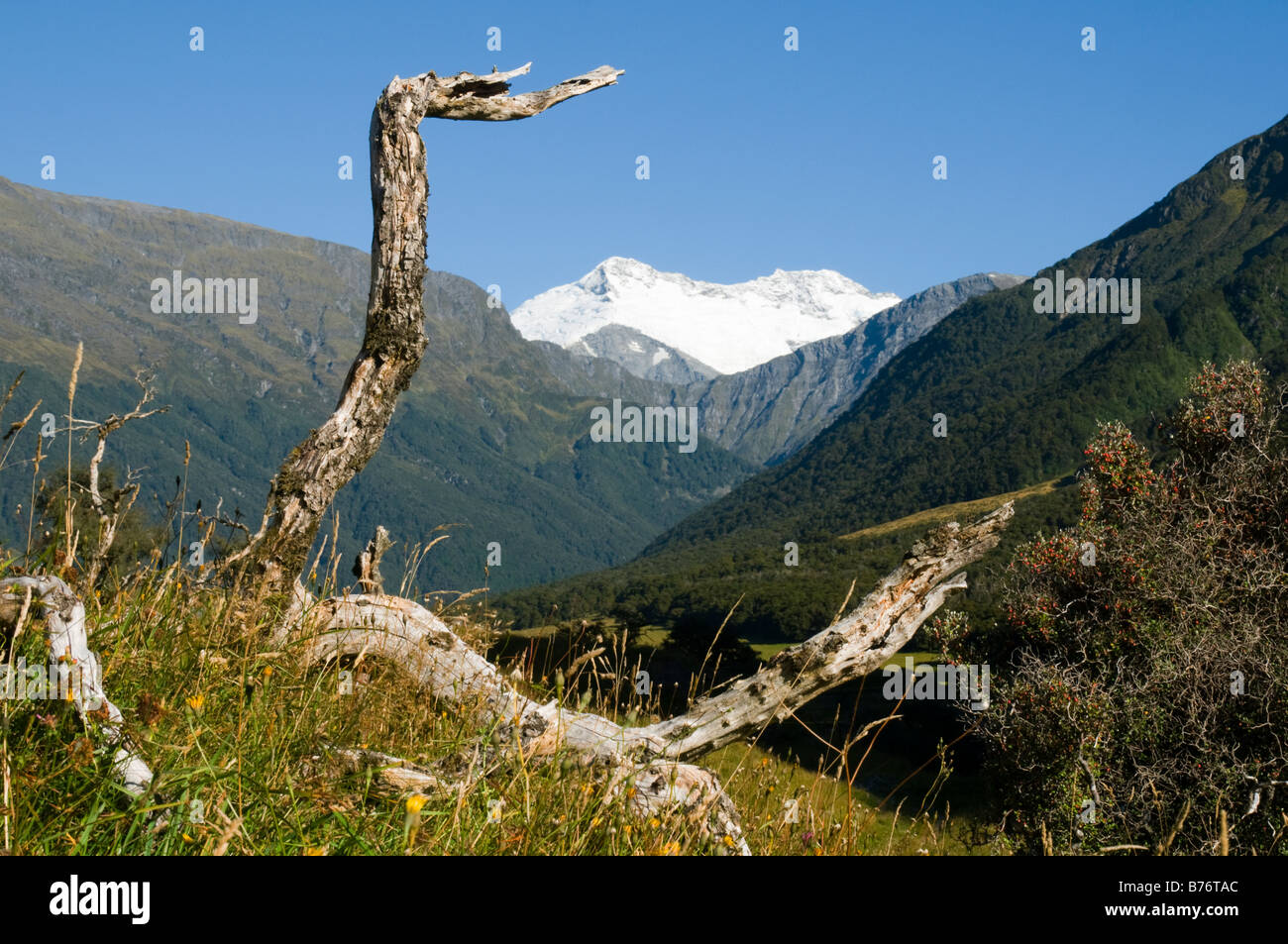 Mount Edward from the Matukituki valley, Mount Aspiring National Park ...