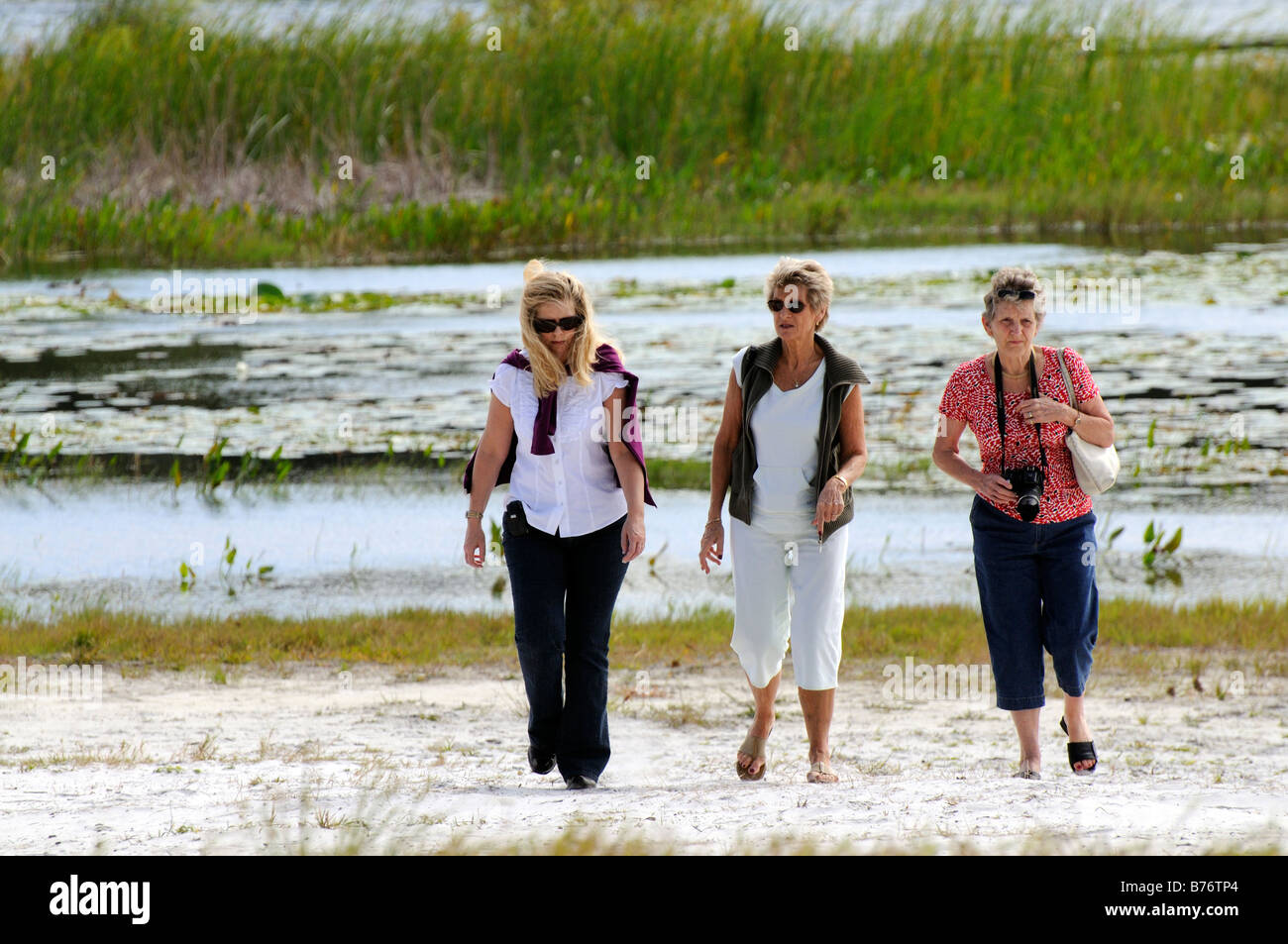 Fort Cooper State Park near Inverness Florida USA visitors exploring ...