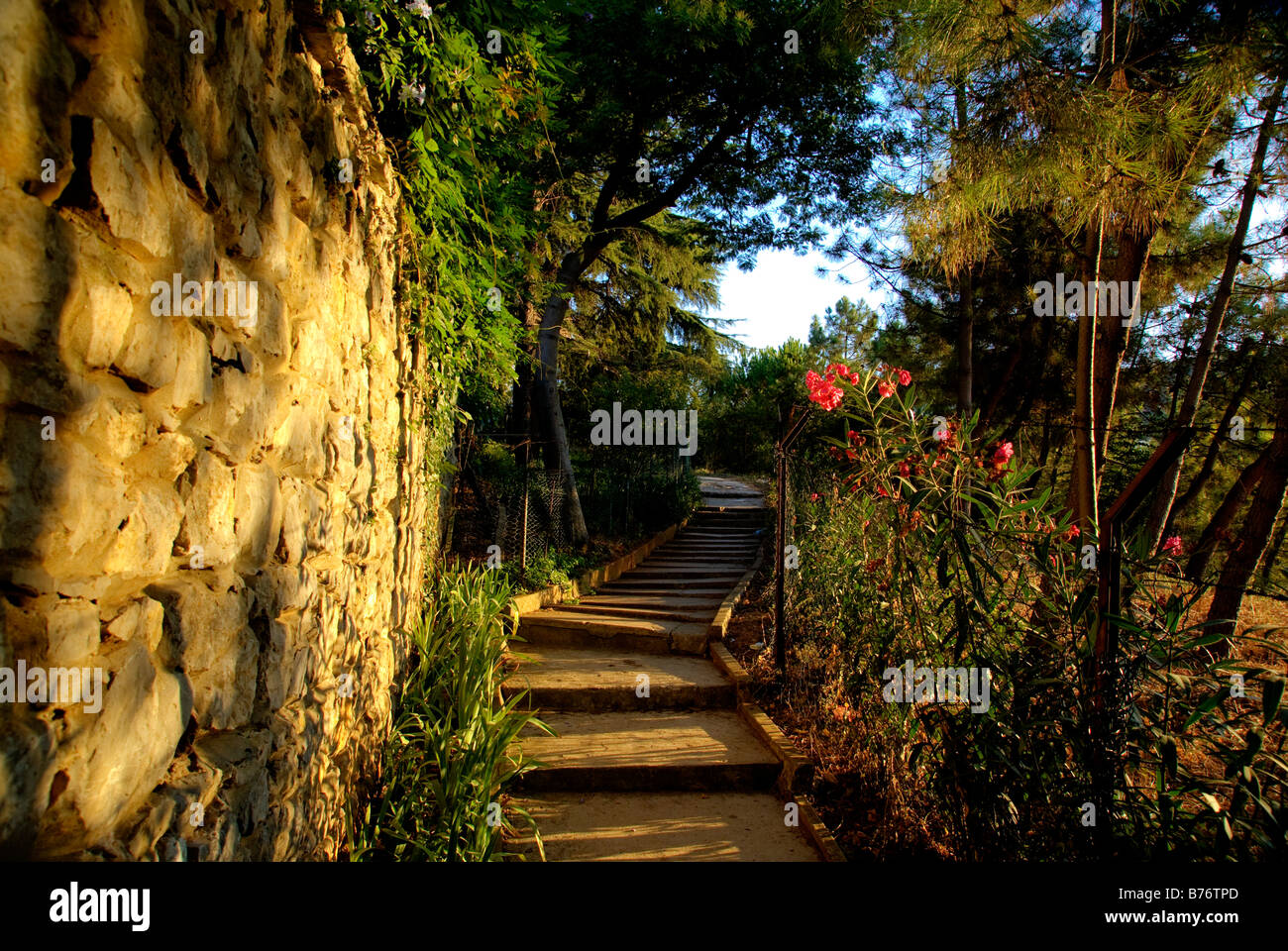 Sunlit steps on an island path with flowers Stock Photo - Alamy