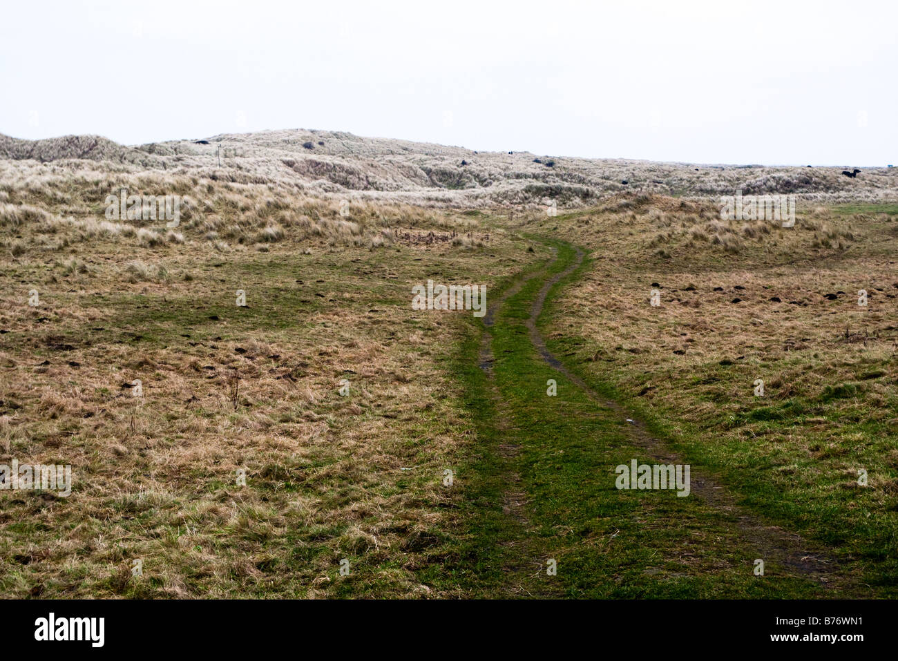 Track leading to beach though dunes Stock Photo - Alamy