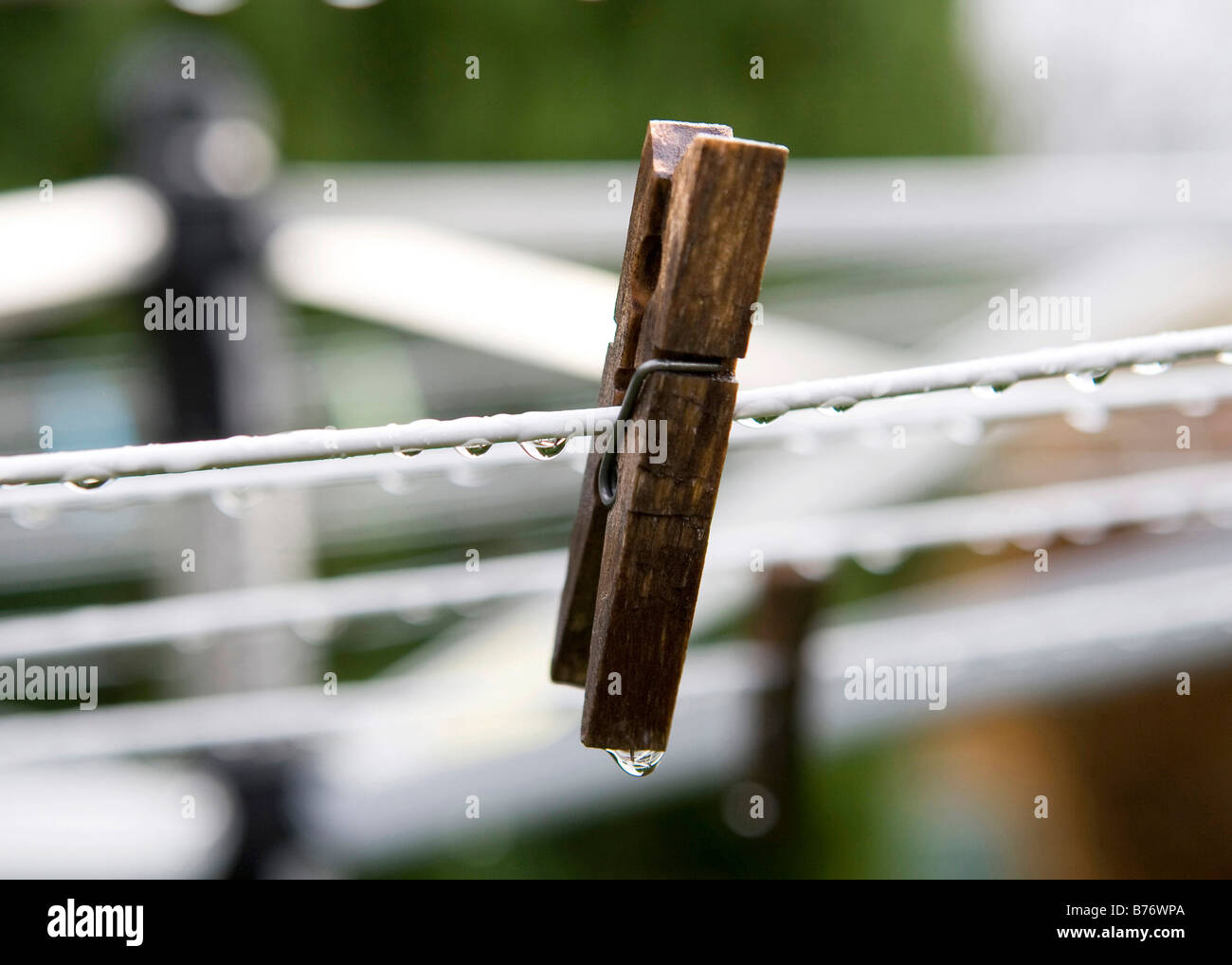 A close up of a clothes peg or pin on a washing line after rain Stock ...