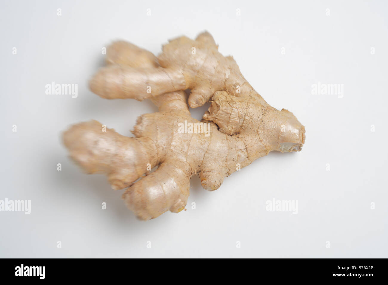 Ginger root (Zingiber officinale), Studio shot, White Background Stock ...