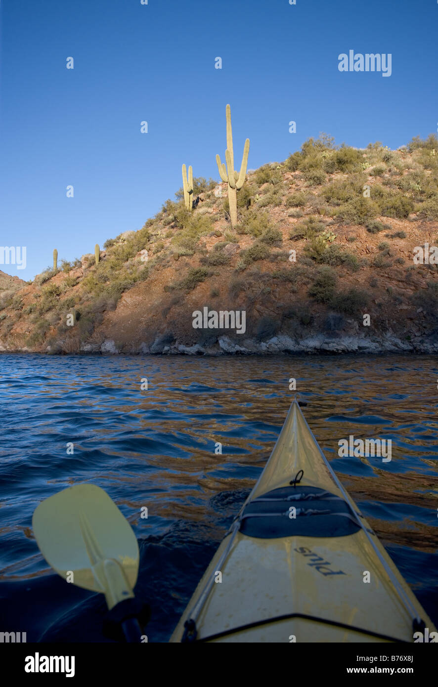 A Kayak in a desert lake in Arizona with saguaros and mountains in the ...