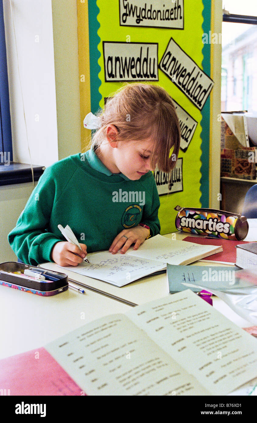 Pupils working in classroom at Welsh language junior school in Newport ...