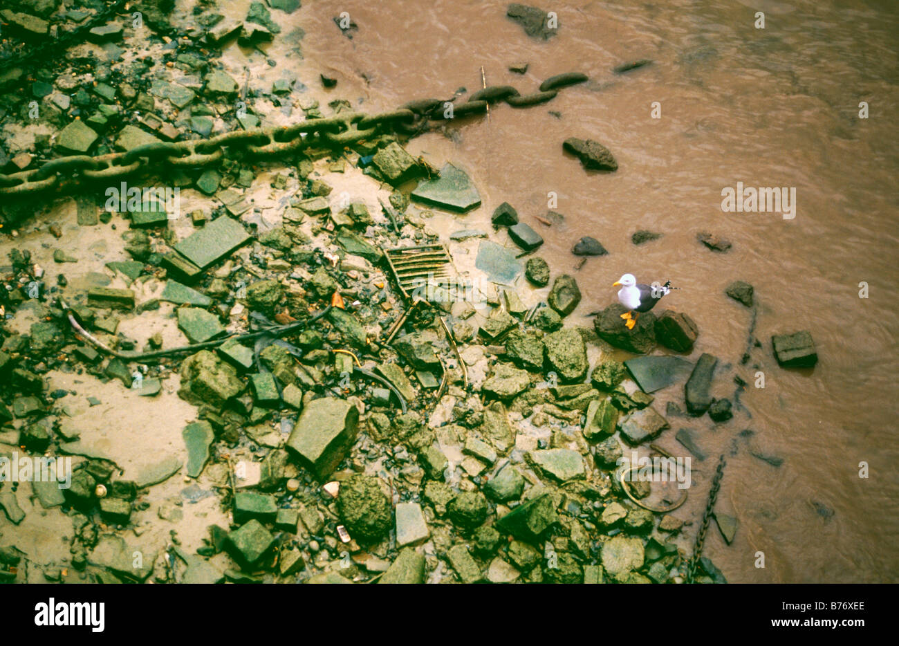 River thames pollution hi-res stock photography and images - Alamy