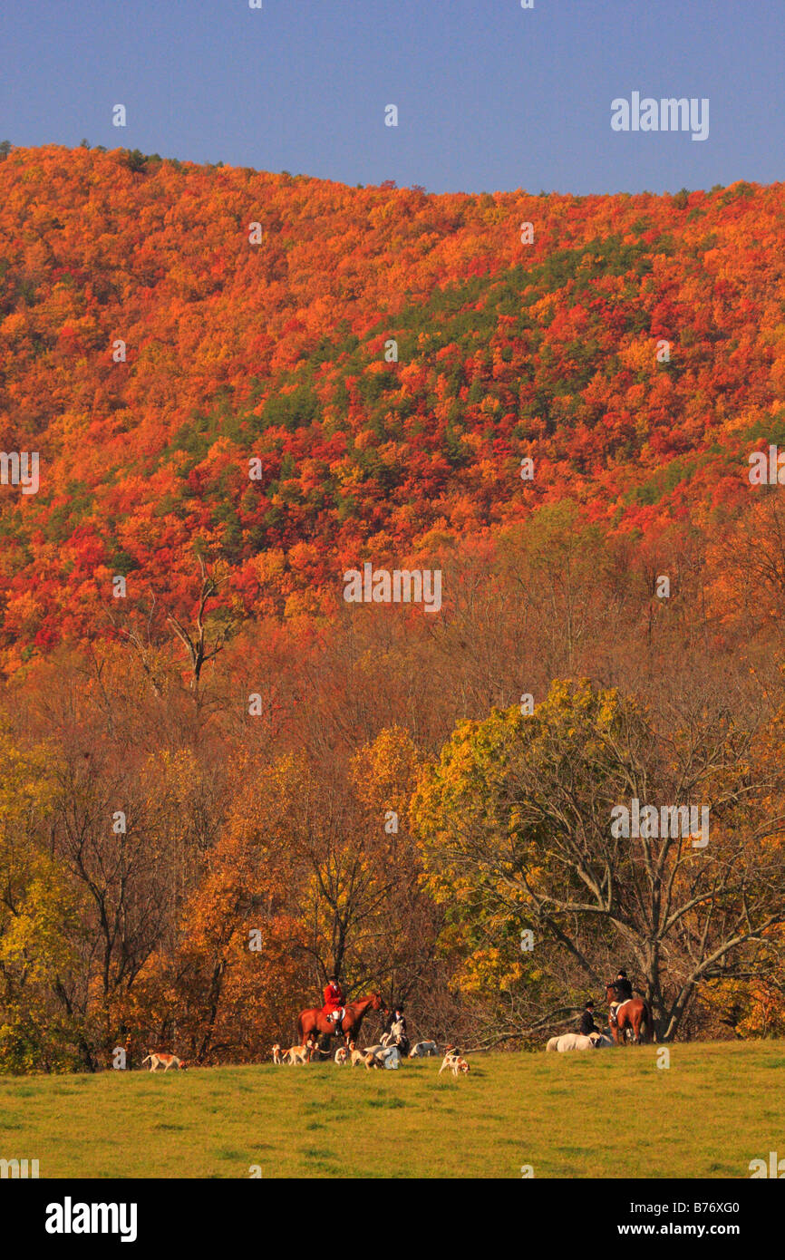 Fox Hunt, Swoope, Shenandoah Valley, Virginia, USA Stock Photo - Alamy