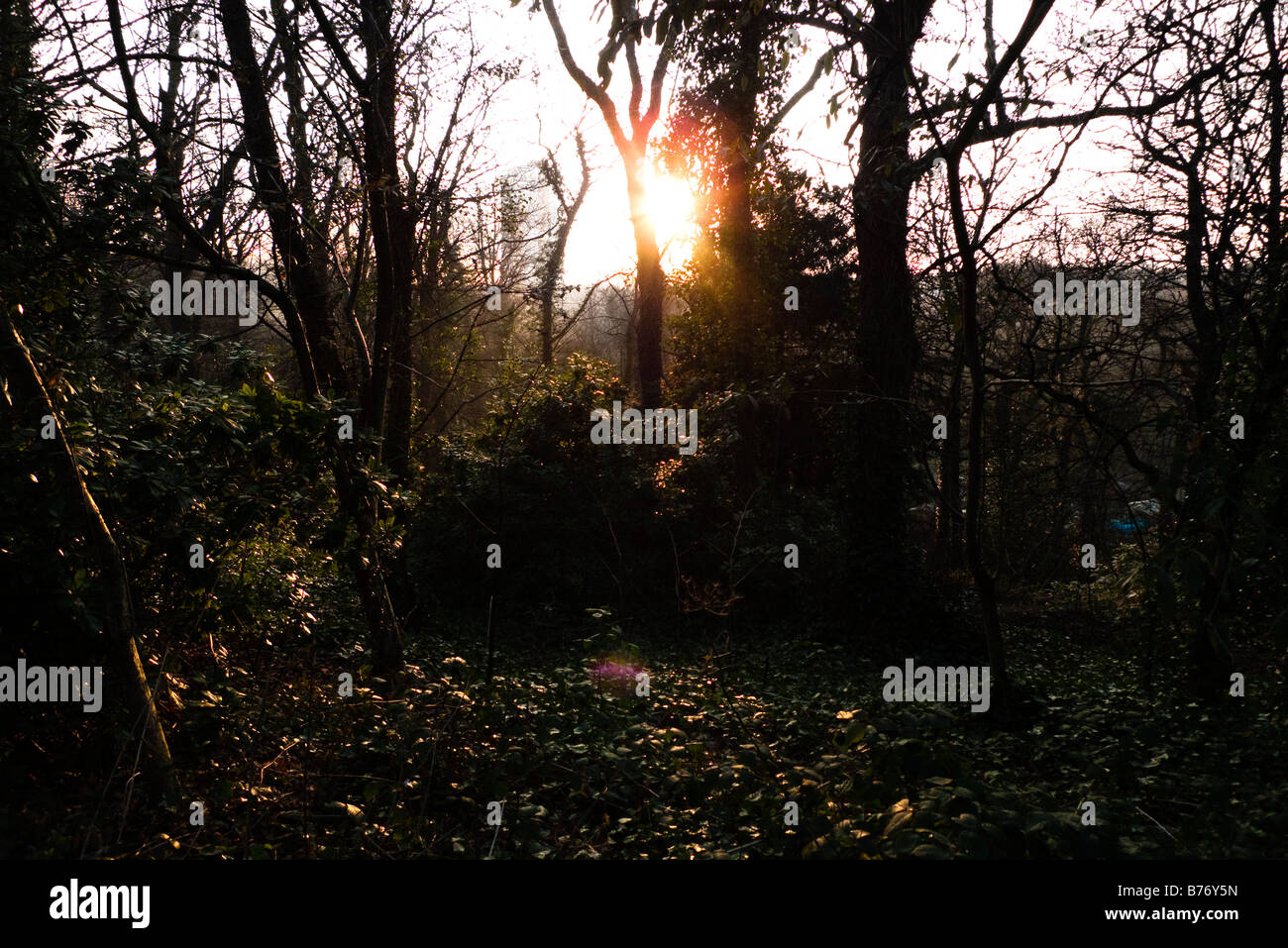 Newcastle city parks hi-res stock photography and images - Alamy