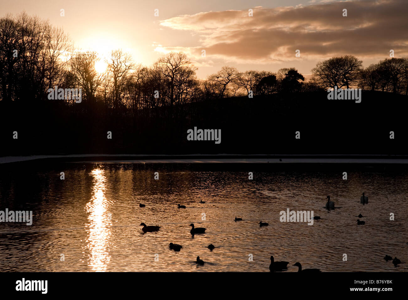 Etherow country park hi-res stock photography and images - Alamy