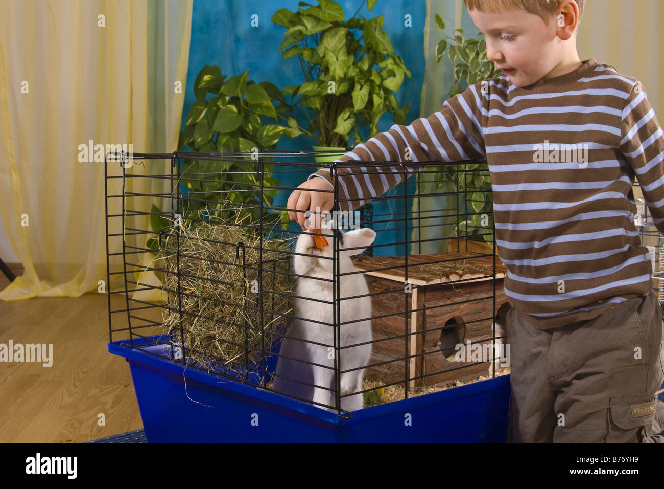 Boy feeds rabbit hi-res stock photography and images - Alamy