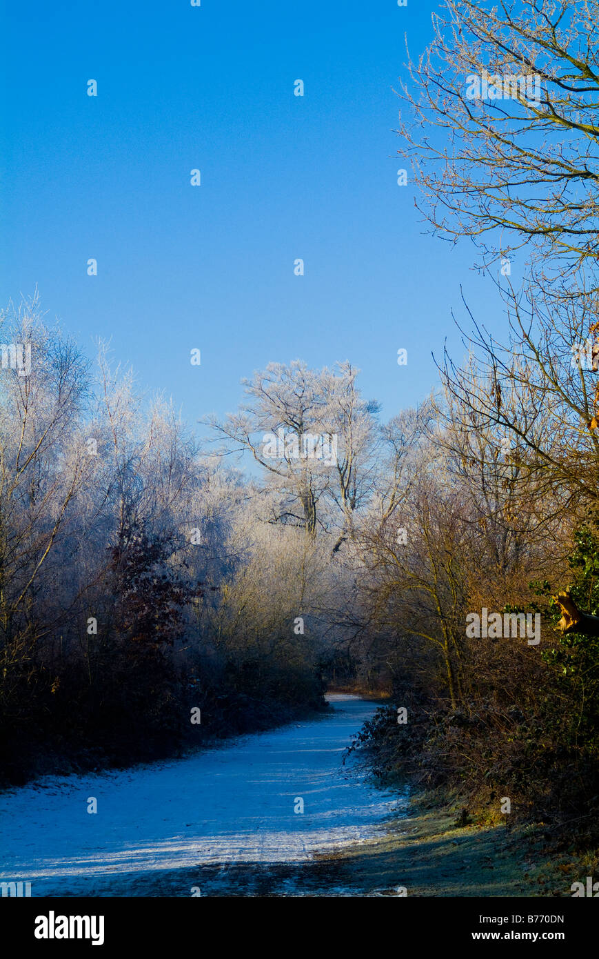 Reigate Hill, The Inglis Memorial at Colley Hill and in the winter ...