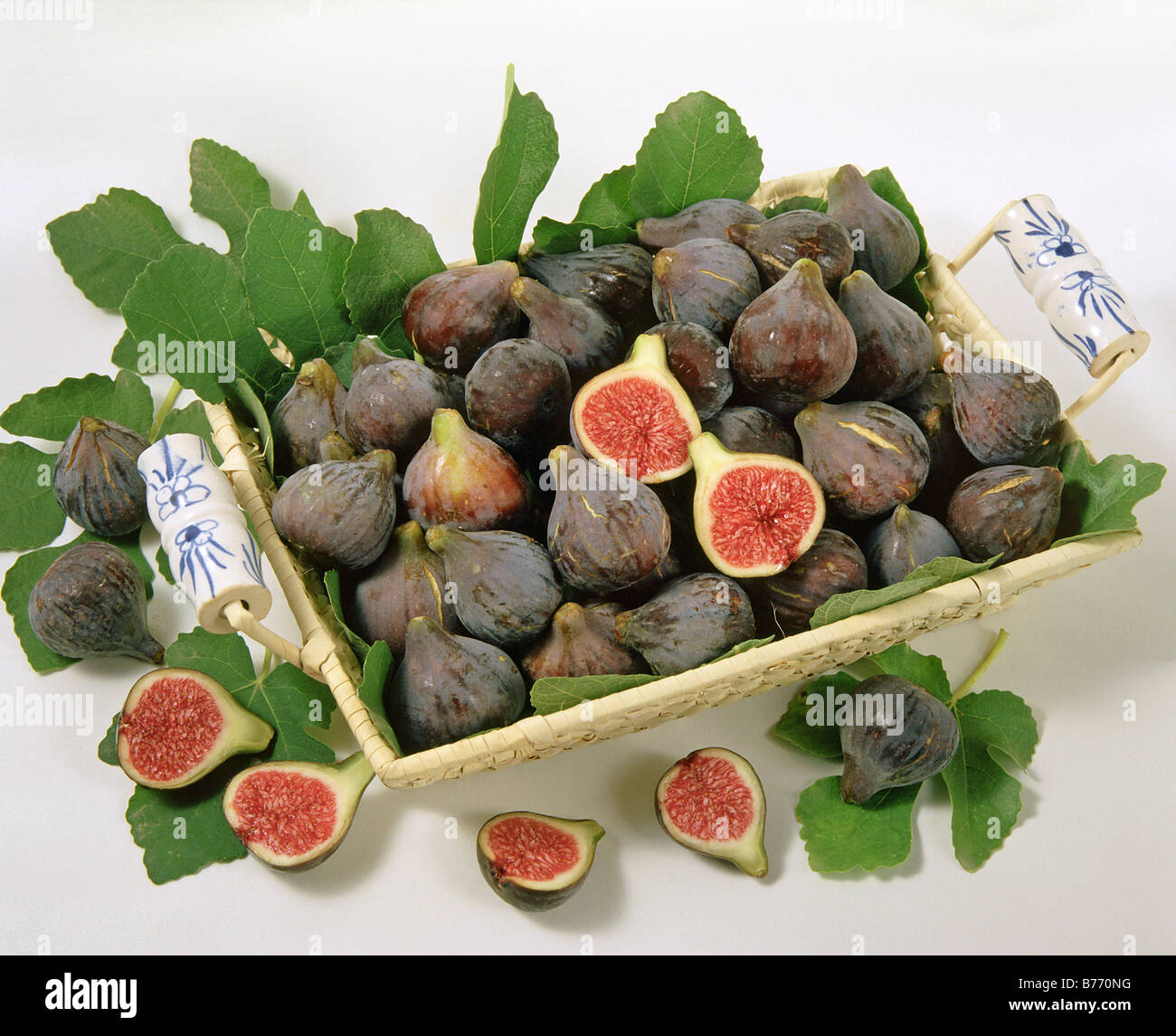Figs isolated fall hi-res stock photography and images - Alamy