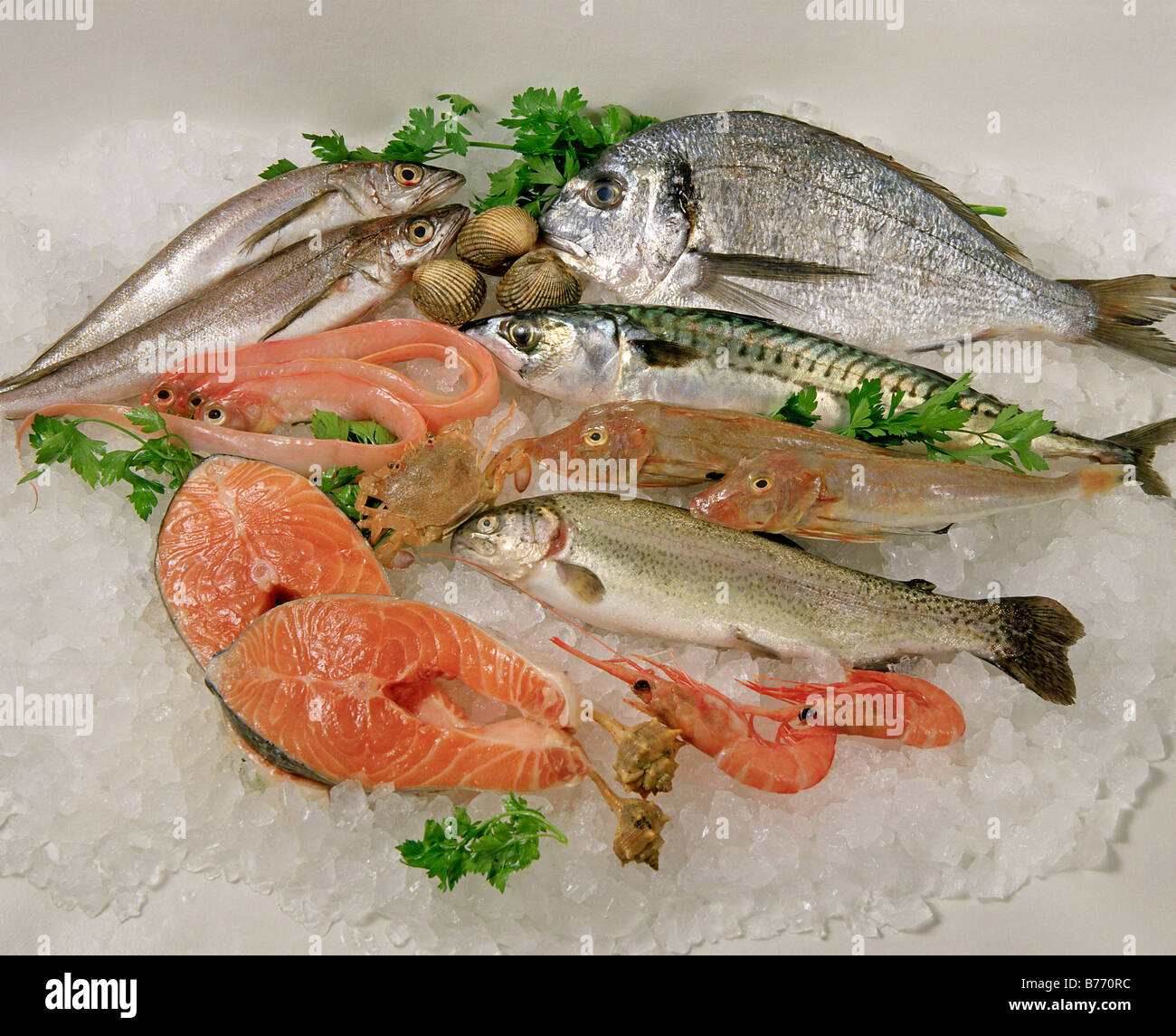 Seafood still life Stock Photo - Alamy