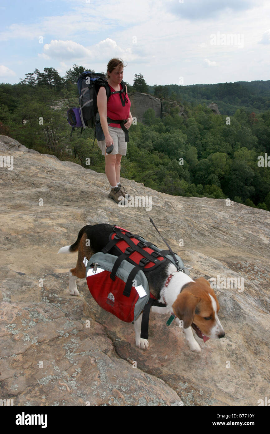 Dog woman backpack hike Red river gorge kentucky Daniel Boone National ...