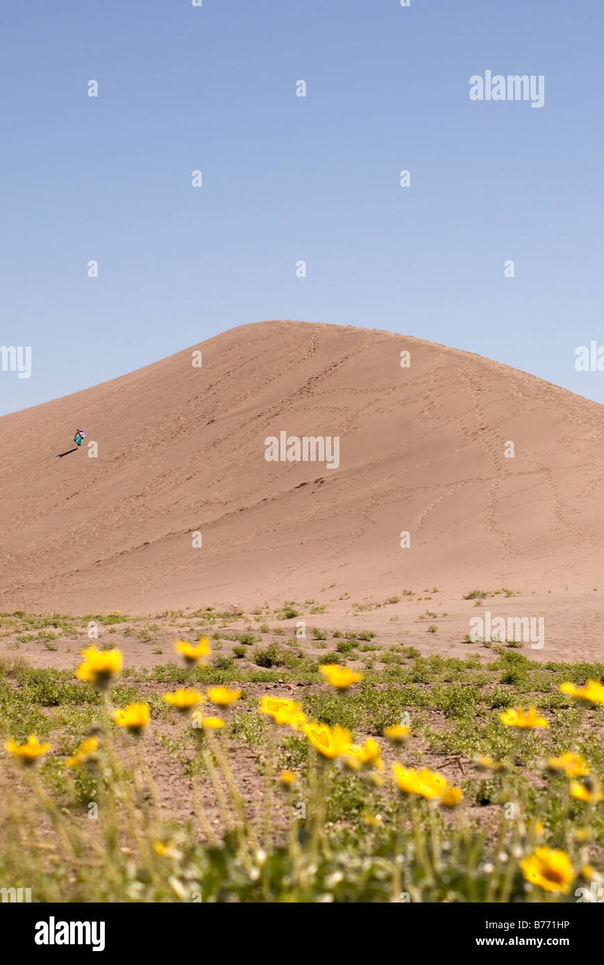 Tall free standing sand dunes hi-res stock photography and images - Alamy