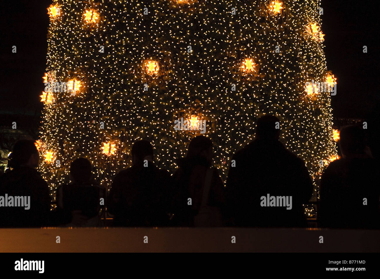 Human form in tree hi-res stock photography and images - Alamy