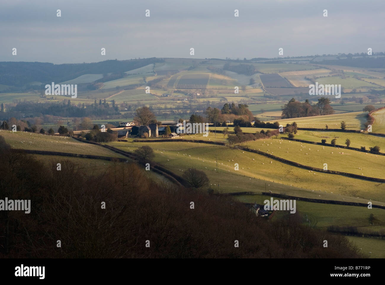 Shropshire countryside landscape hi-res stock photography and images ...