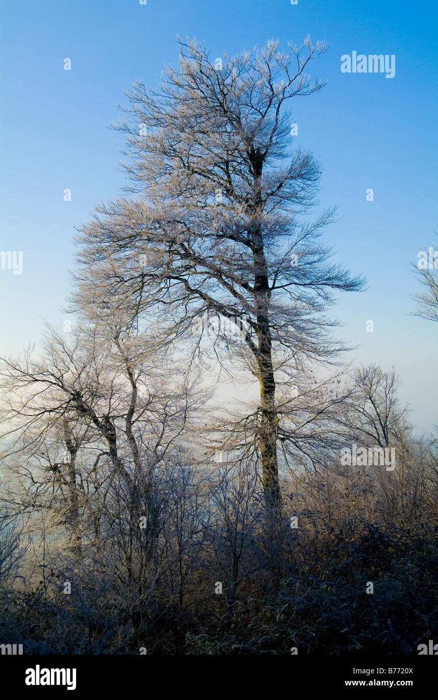 Reigate Hill, The Inglis Memorial at Colley Hill and in the winter ...
