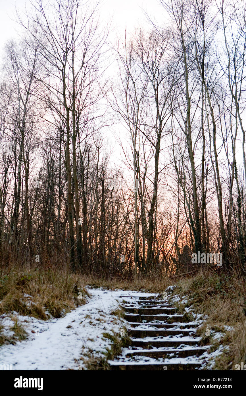 Box hill surrey sunset hi-res stock photography and images - Alamy
