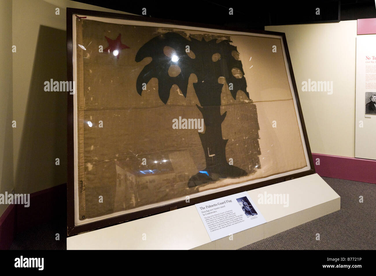 The Palmetto Guard Flag (the first confederate flag to be raised at the ...