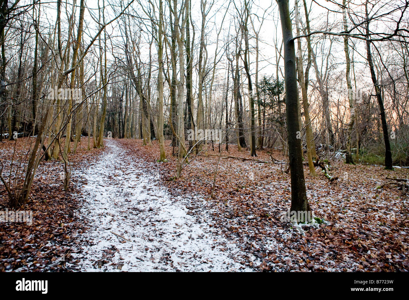 Box hill surrey sunset hi-res stock photography and images - Alamy