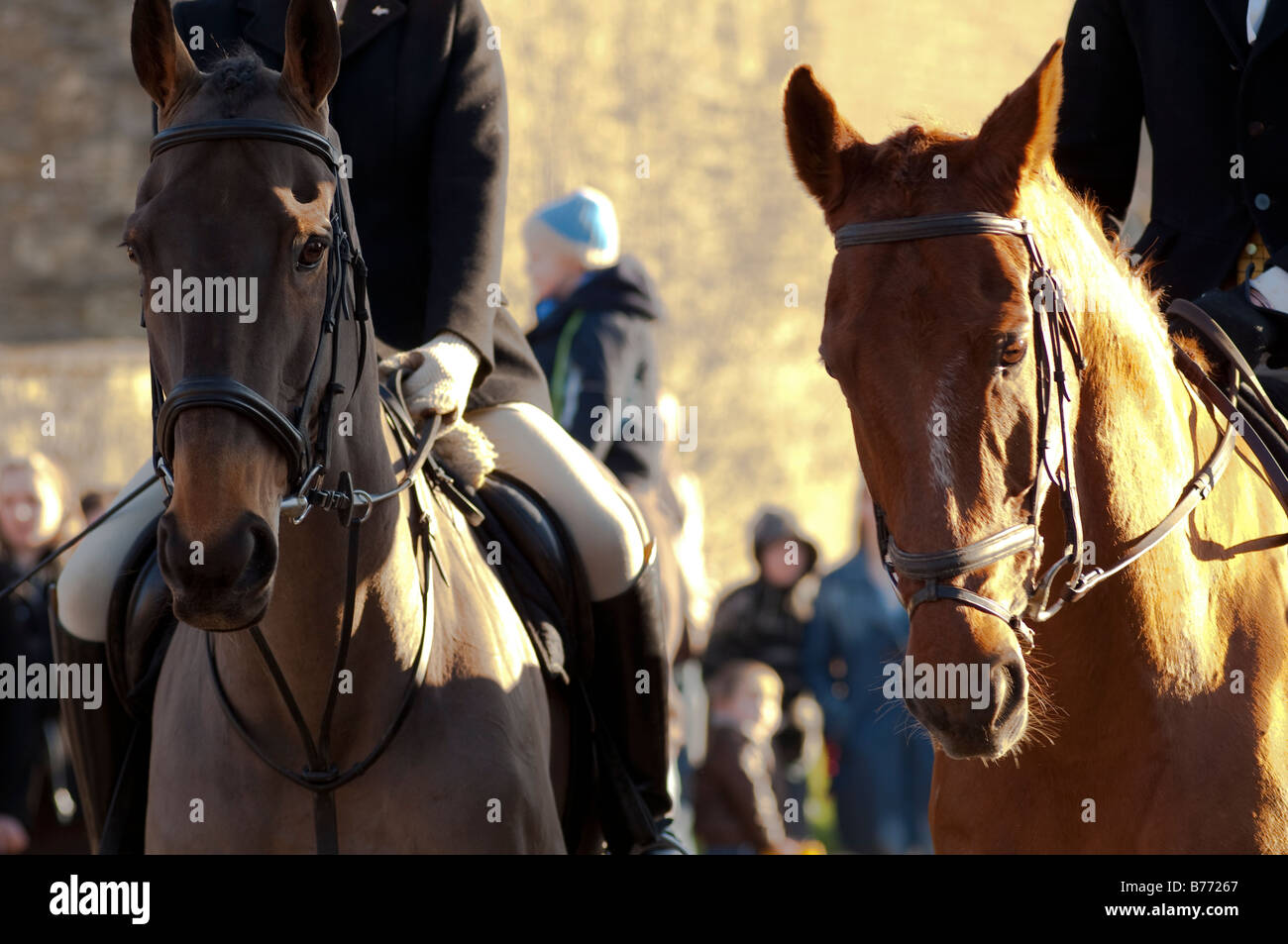 Teh Avon Vale Hunt on it's traditional Boxing day Fox Hunt Stock Photo ...
