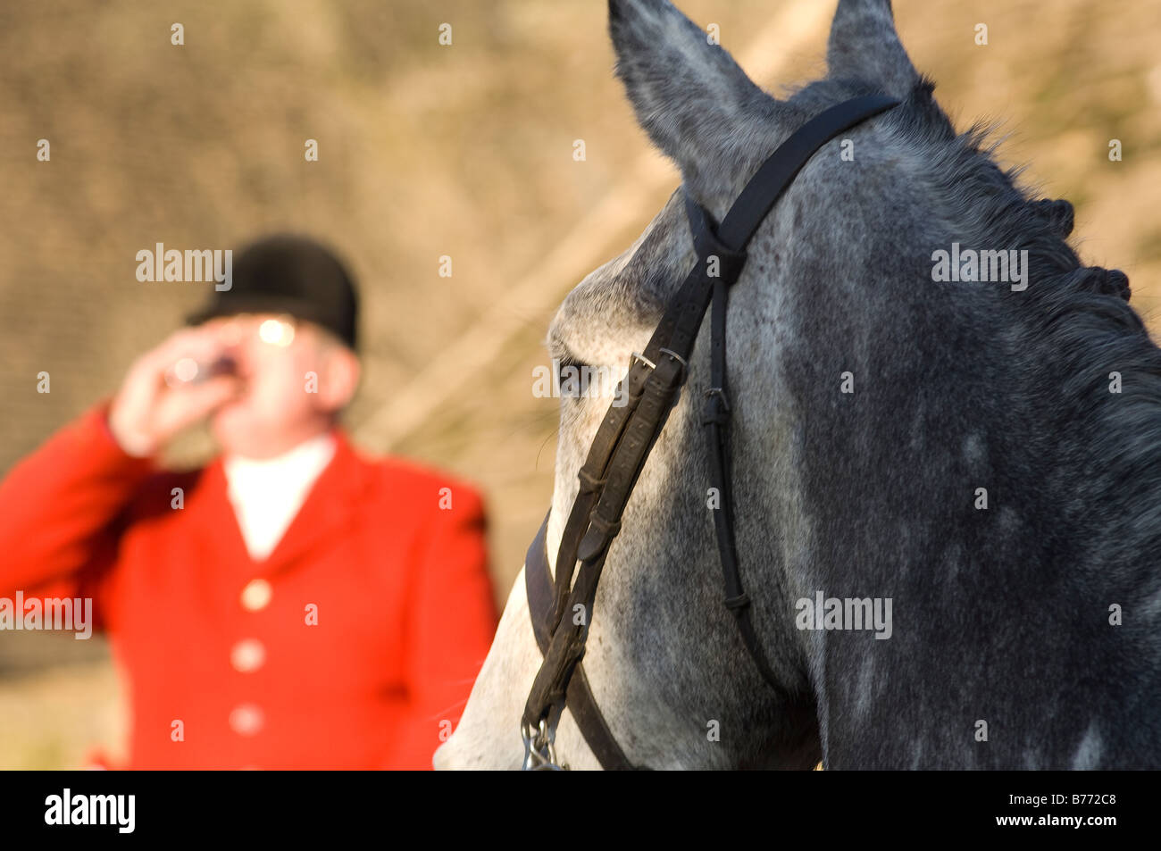 Teh Avon Vale Hunt on it's traditional Boxing day Fox Hunt Stock Photo ...