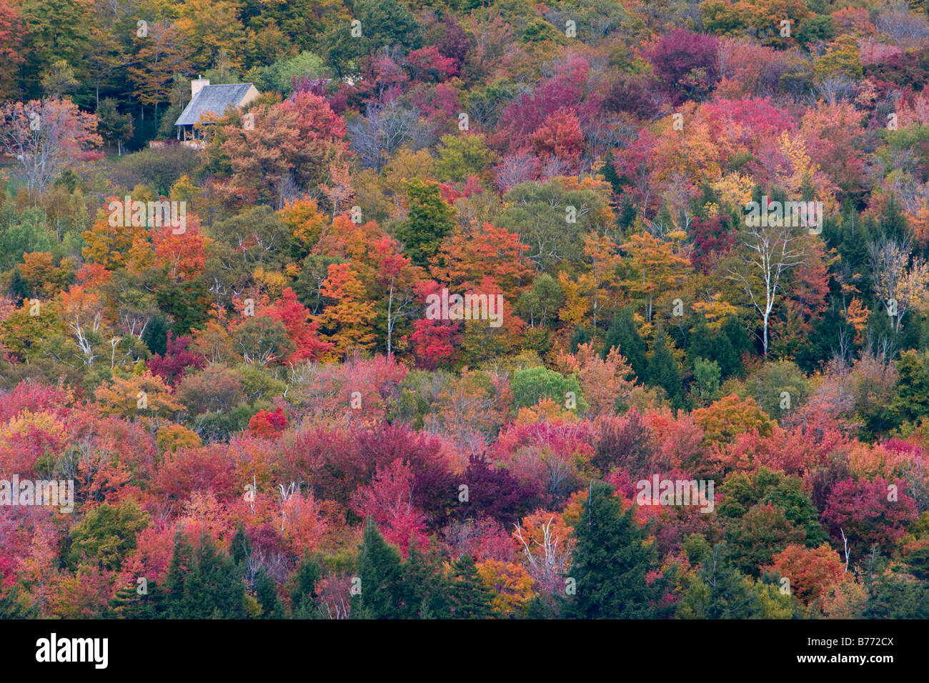 October seasons hi-res stock photography and images - Alamy