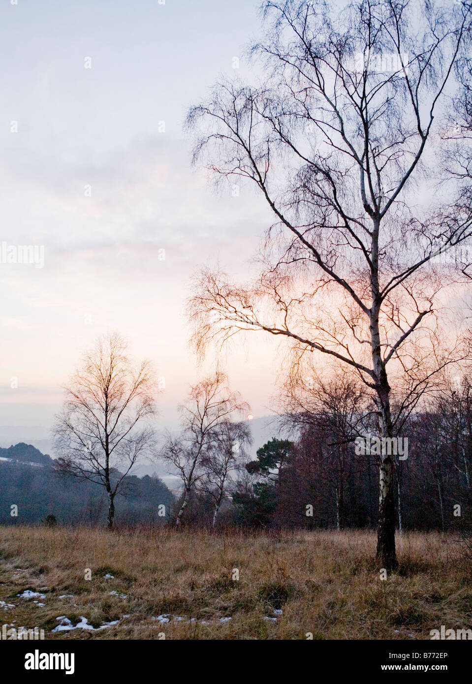 Box hill surrey sunset hi-res stock photography and images - Alamy