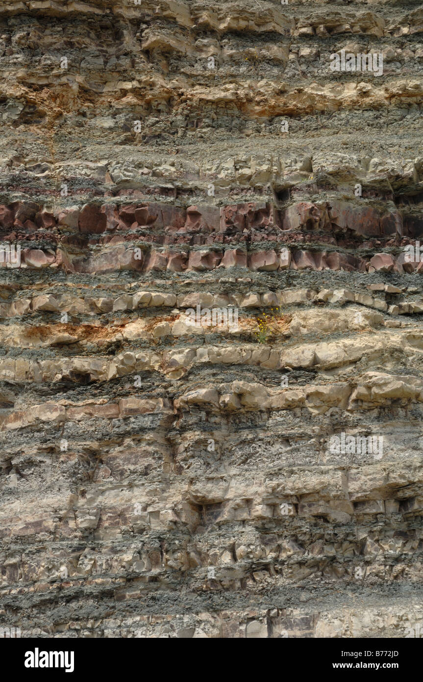 Blue Lias rocks cliff Lavernock Point Vale of Glamorgan Wales UK Europe ...