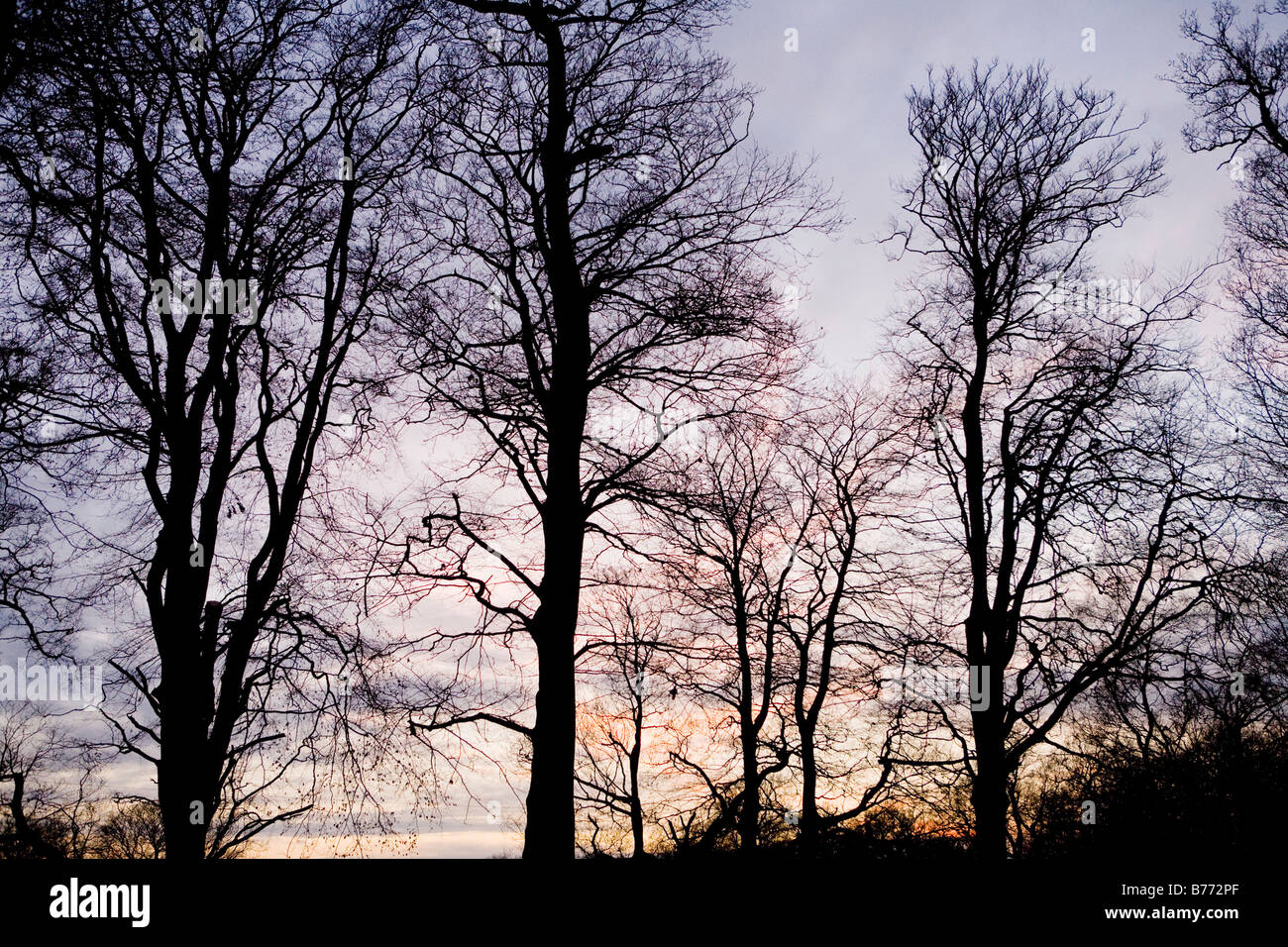 Box hill surrey sunset hi-res stock photography and images - Alamy