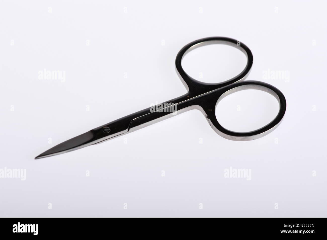 Small sharp pointed hi-res stock photography and images - Alamy