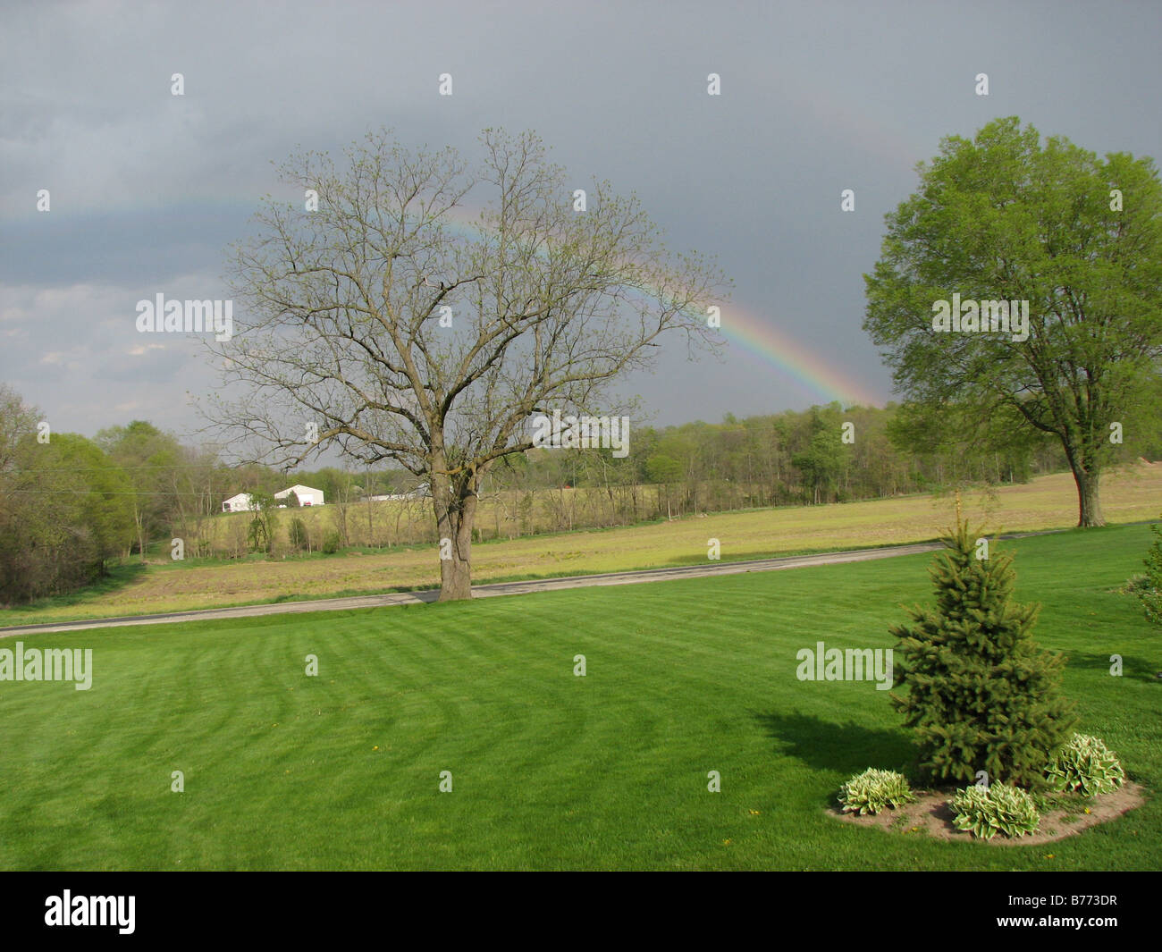 Woods with rainbow hi-res stock photography and images - Alamy