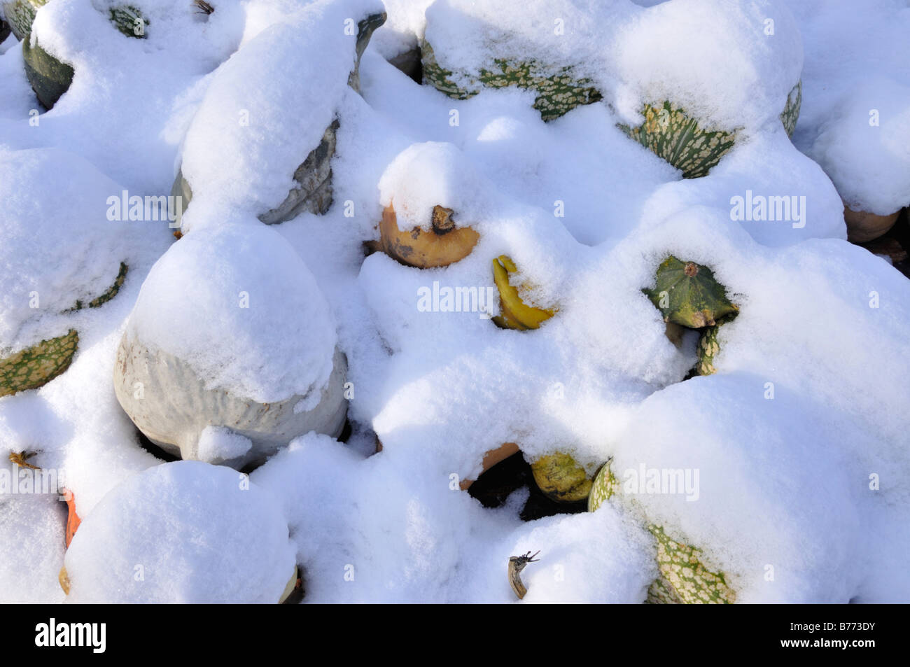 Parts of snow hi-res stock photography and images - Alamy
