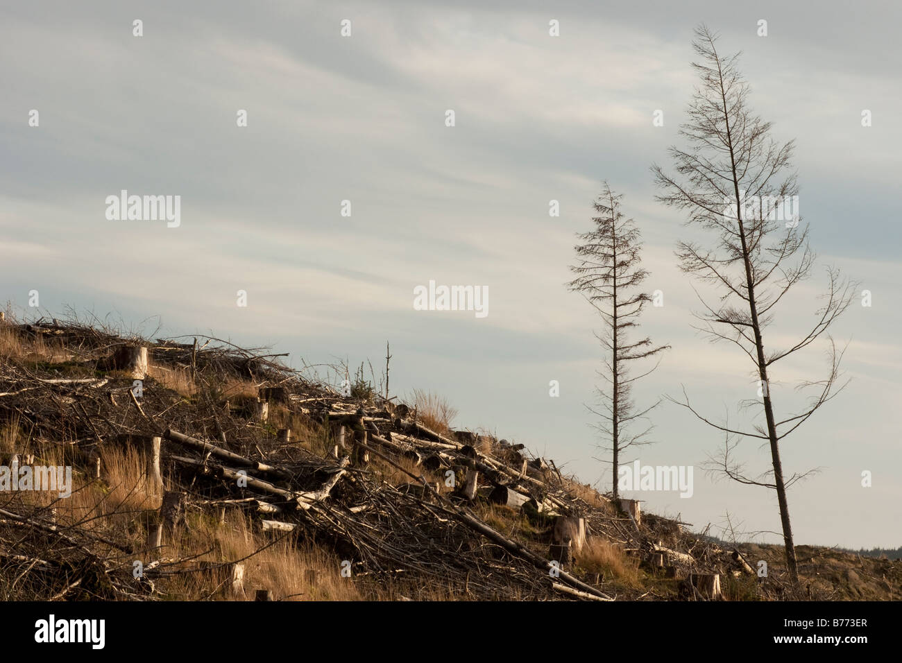 Iron keld hi-res stock photography and images - Alamy